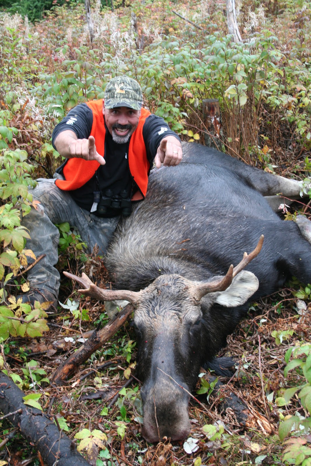 Les Pros: Chasse à l'orignal 2011 / Moose hunt 2011
