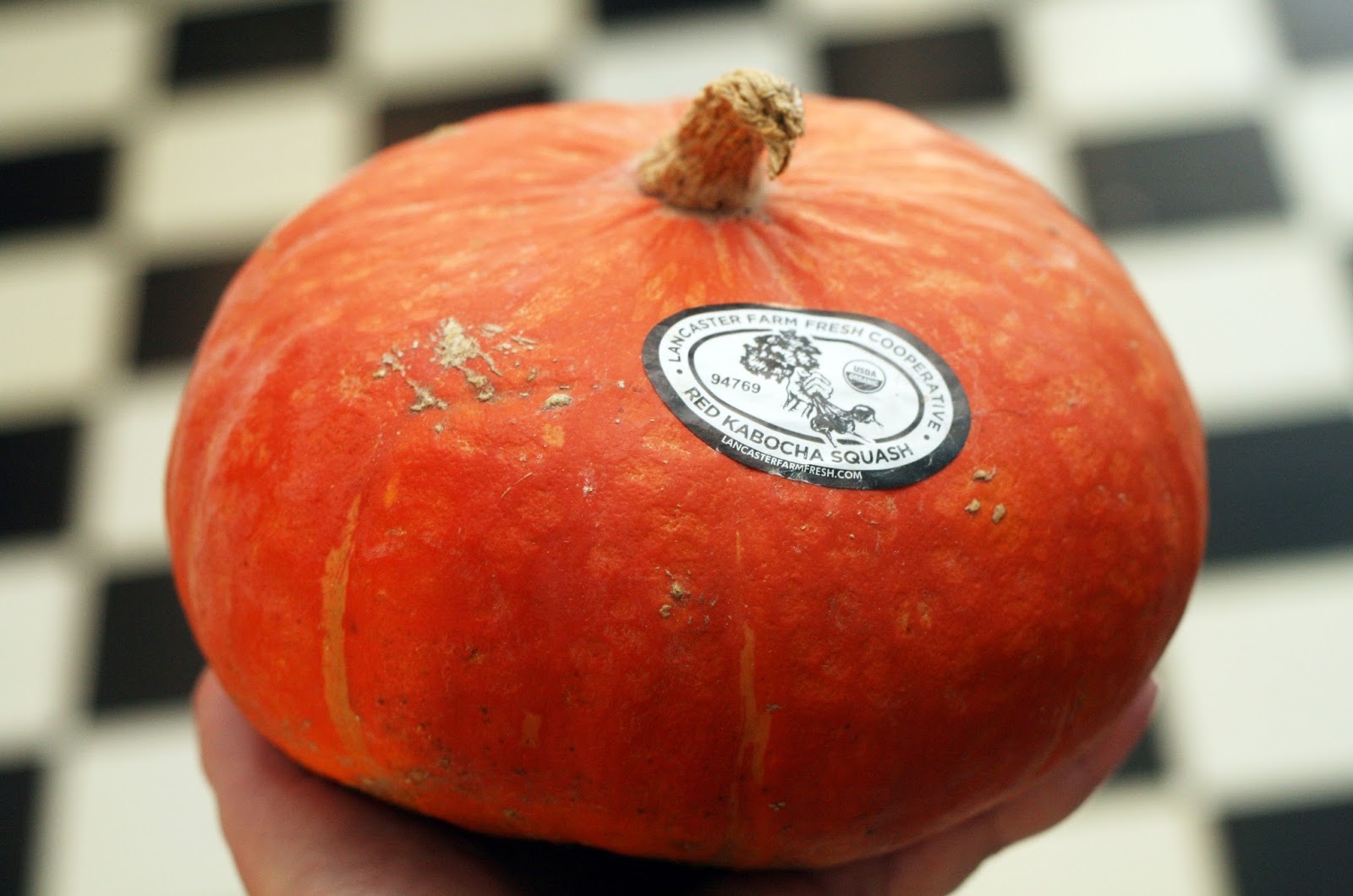 Roasted Kabocha and Mushroom Risotto – Coconut & Lime