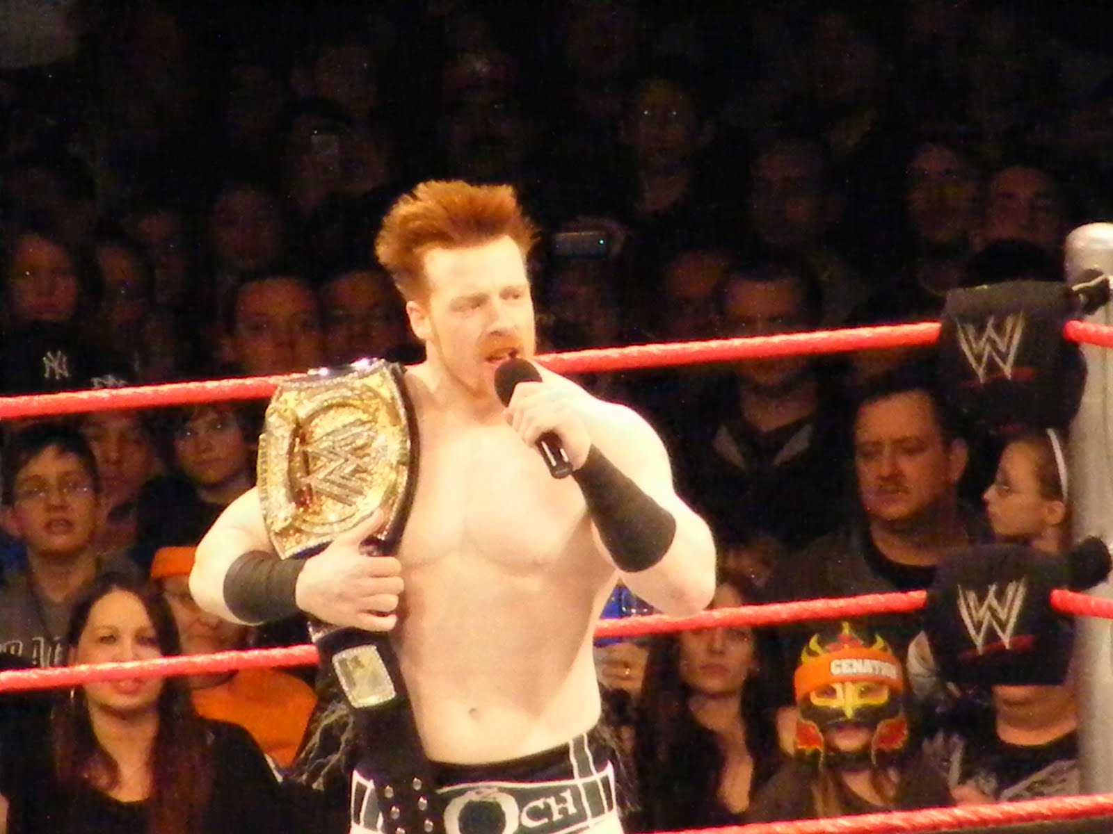 World Raseling: Wwe Sheamus Wwe Champion