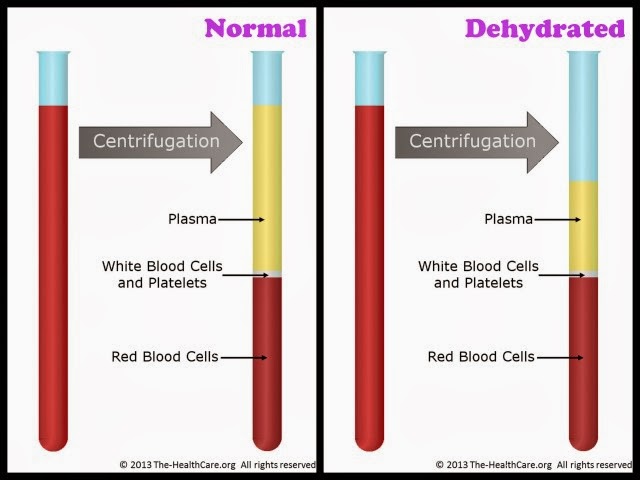 The Private Cyclist: Performance Enhancement On A Budget
