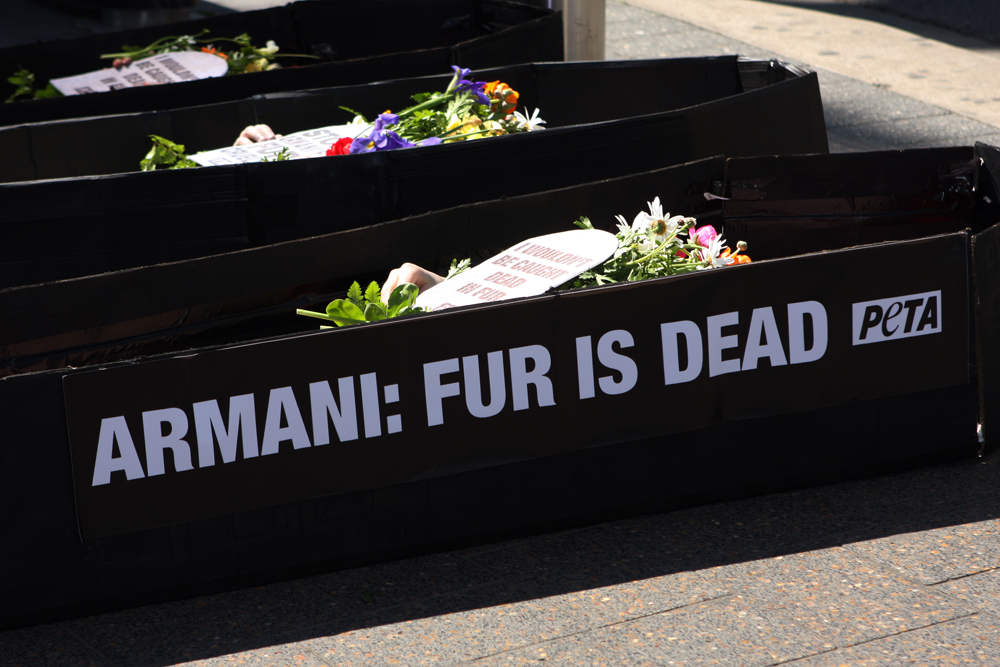 Celebrity News Media: PETA 'Fur Is Dead' coffin stunt aimed at Armani ...