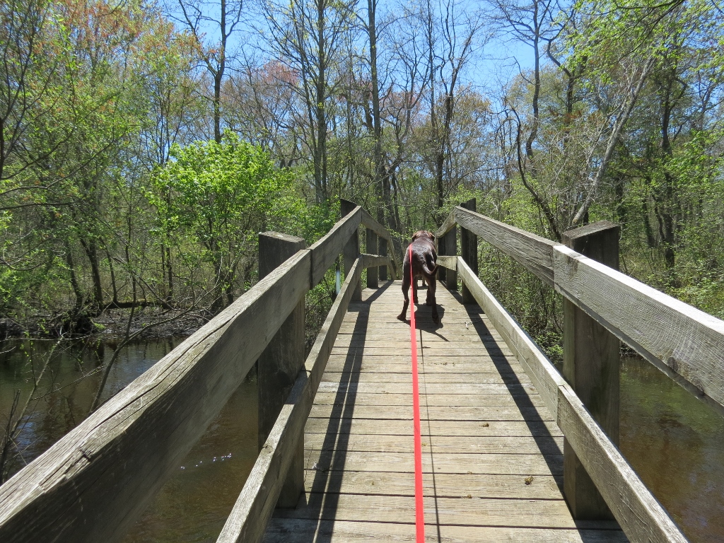 Gone Hikin': Parvin State Park, NJ