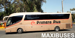 MAXIBUSES: PRIMERA PLUS