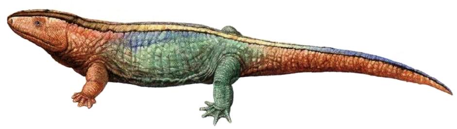 Blog de la Vida Prehistórica: Los Primeros Tetrápodos