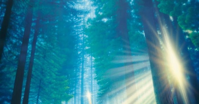 Shirat Devorah: Terumah: The Tachash and the Erev Rav