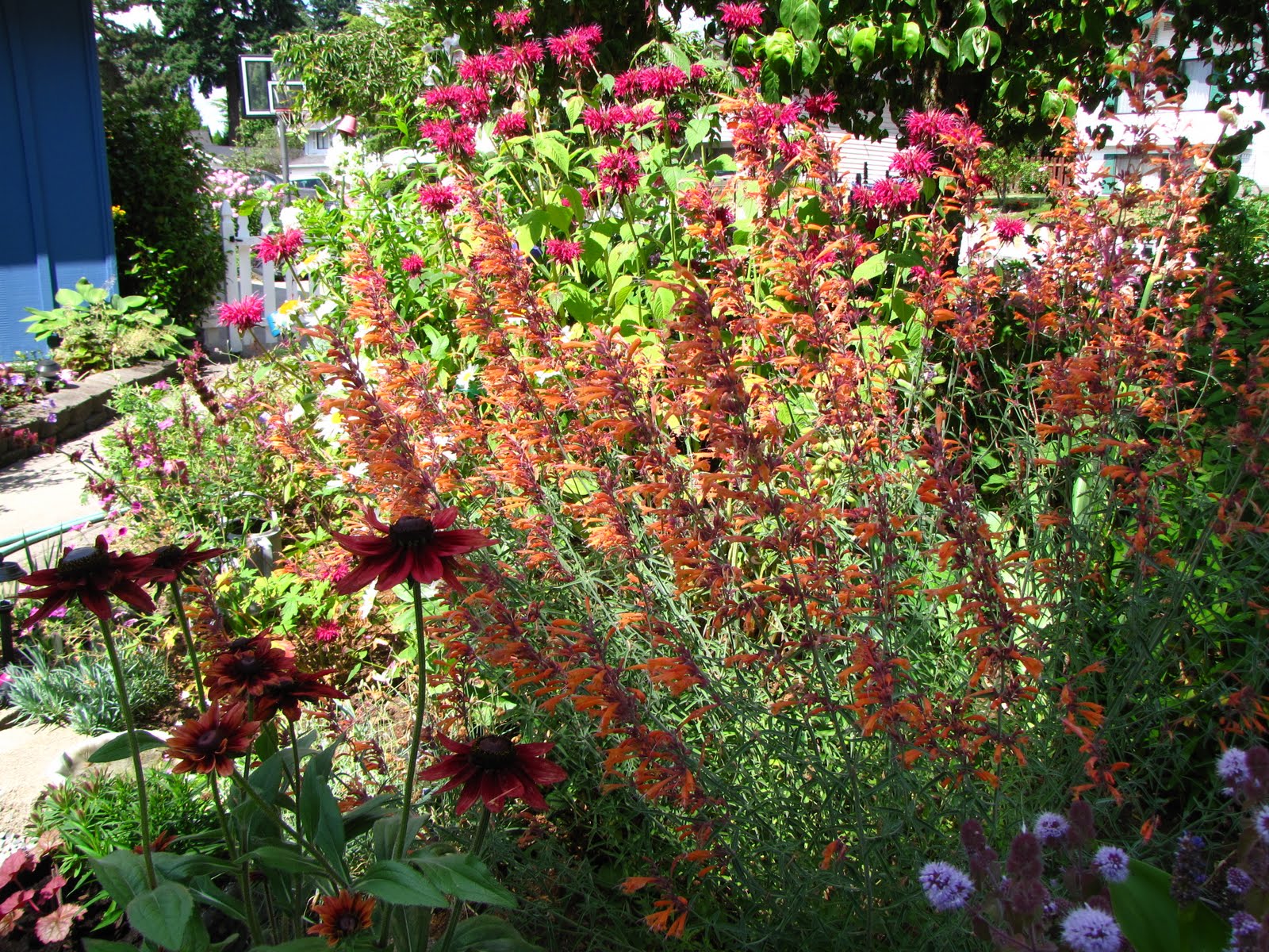 A Gardener in Progress: Not ready yet.