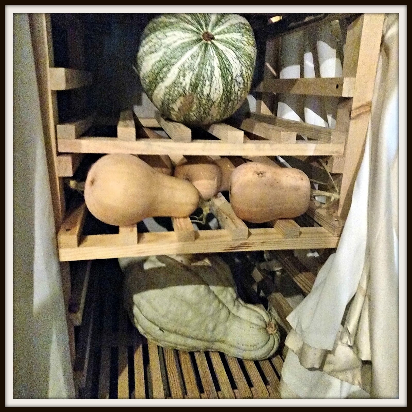 Two Bears Farm and the Three Cubs: Winter Squash Storage