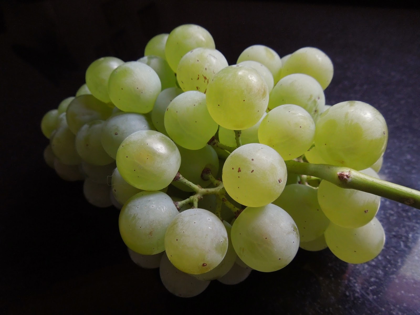 Montse Fotoblog: Uvas