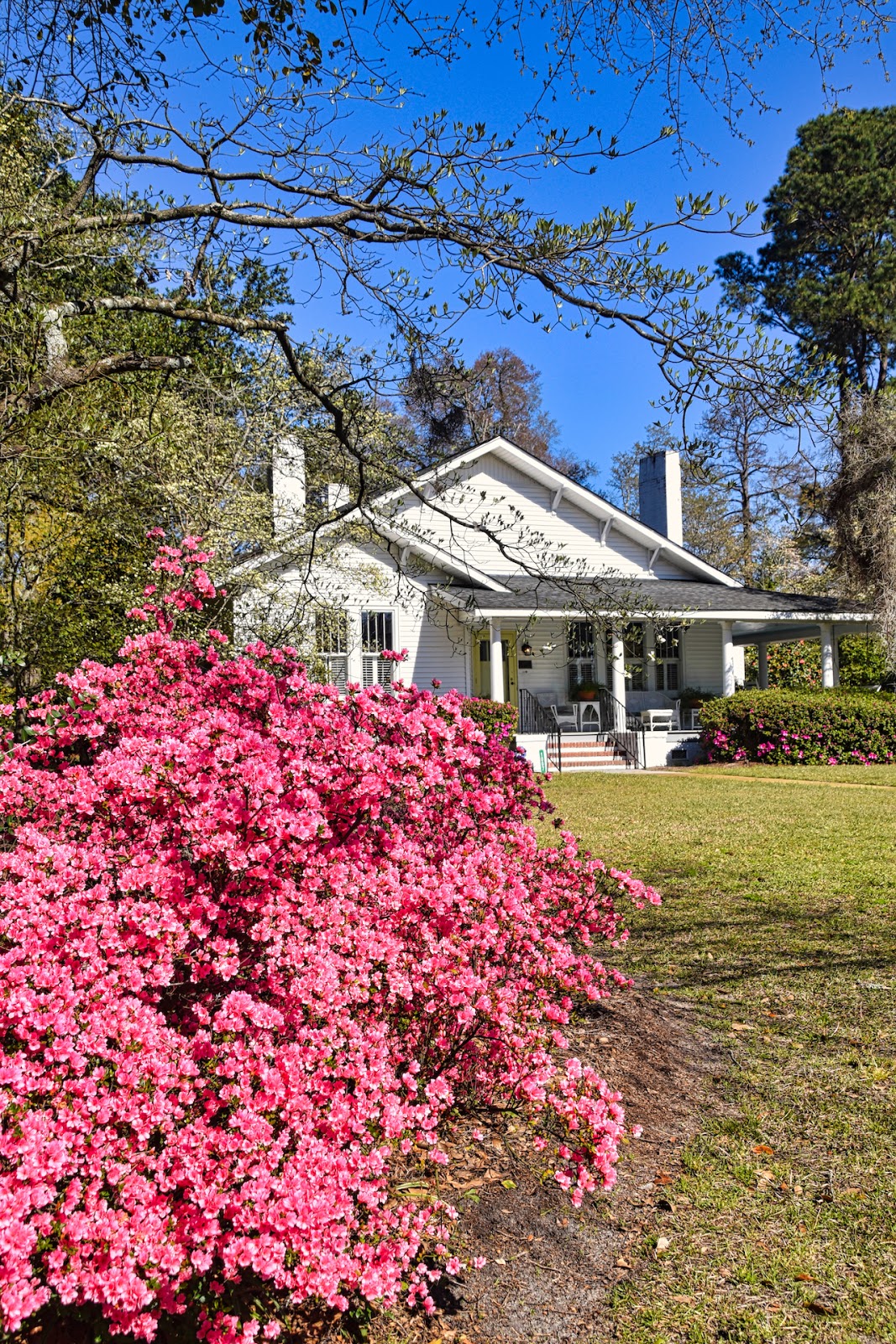 Royal Town Rambles: The Splendor of a Southern Spring