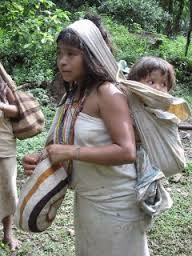 ¿Quiénes son los Koguis?