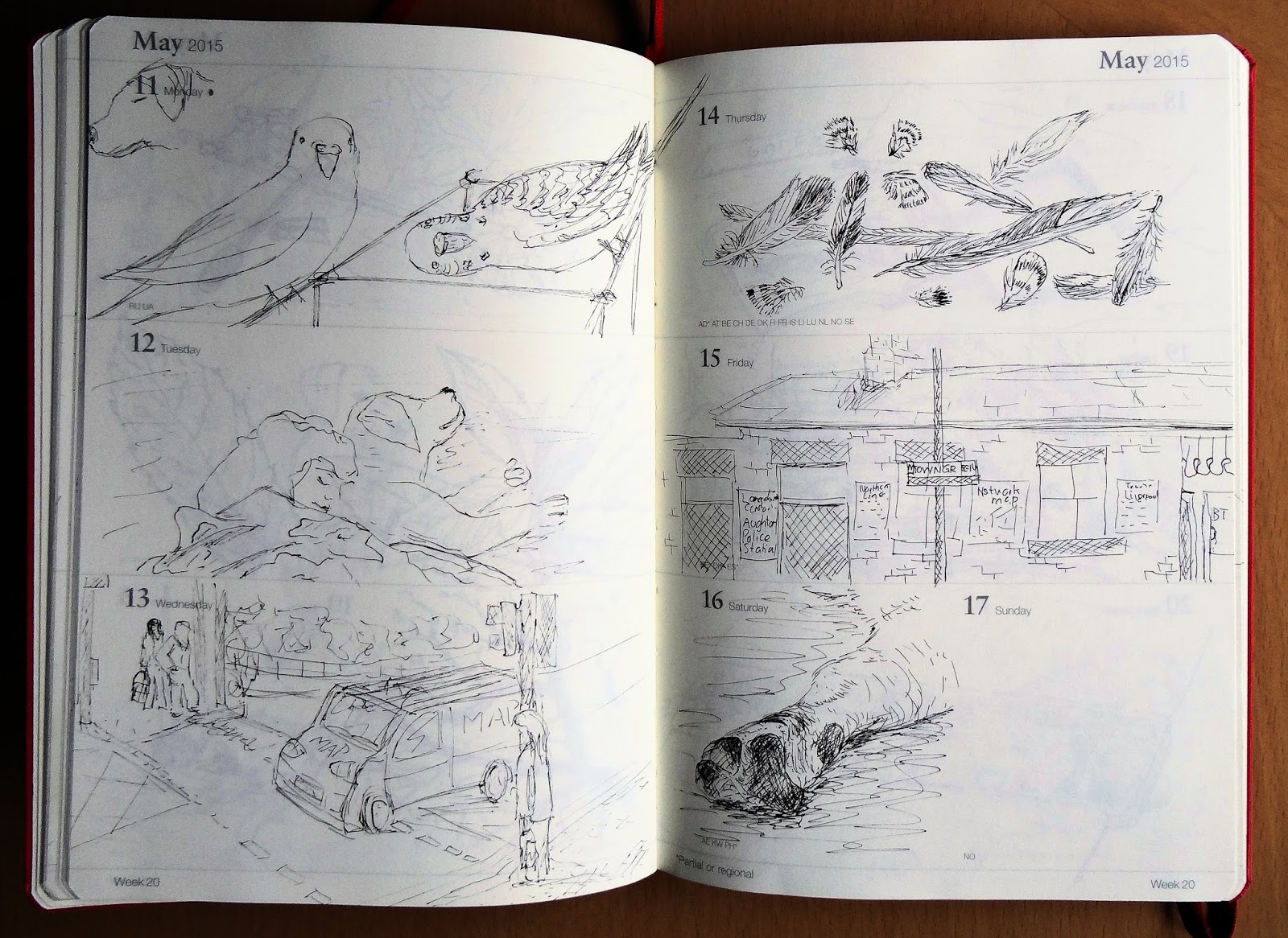 Stephanie Guy Fine Art: Sketch Diary May 2015