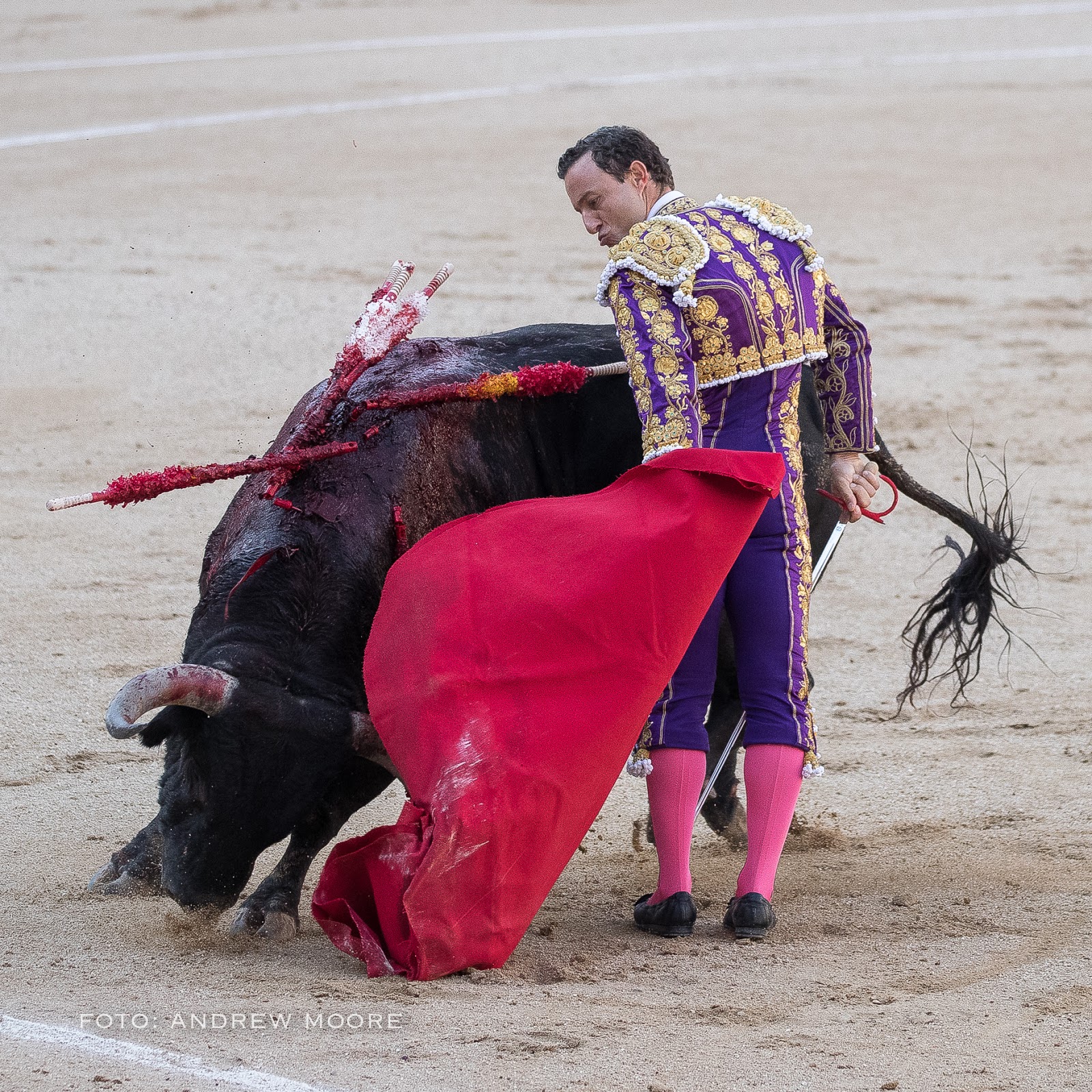 TRIUNFAR CON SU VERDAD