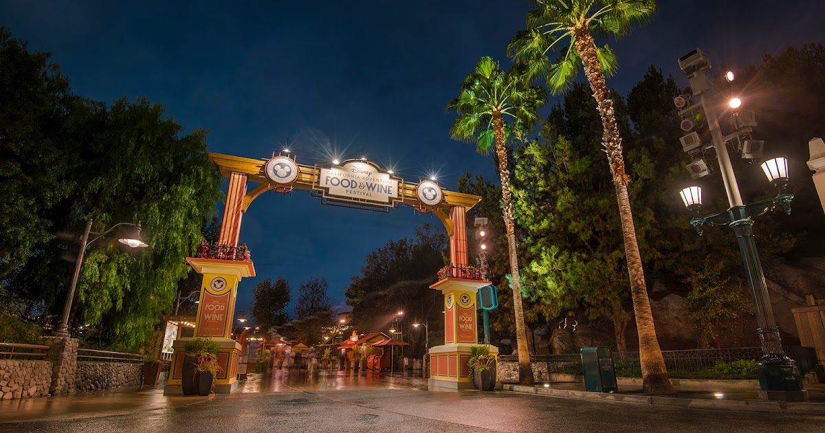 Disney Photoblography