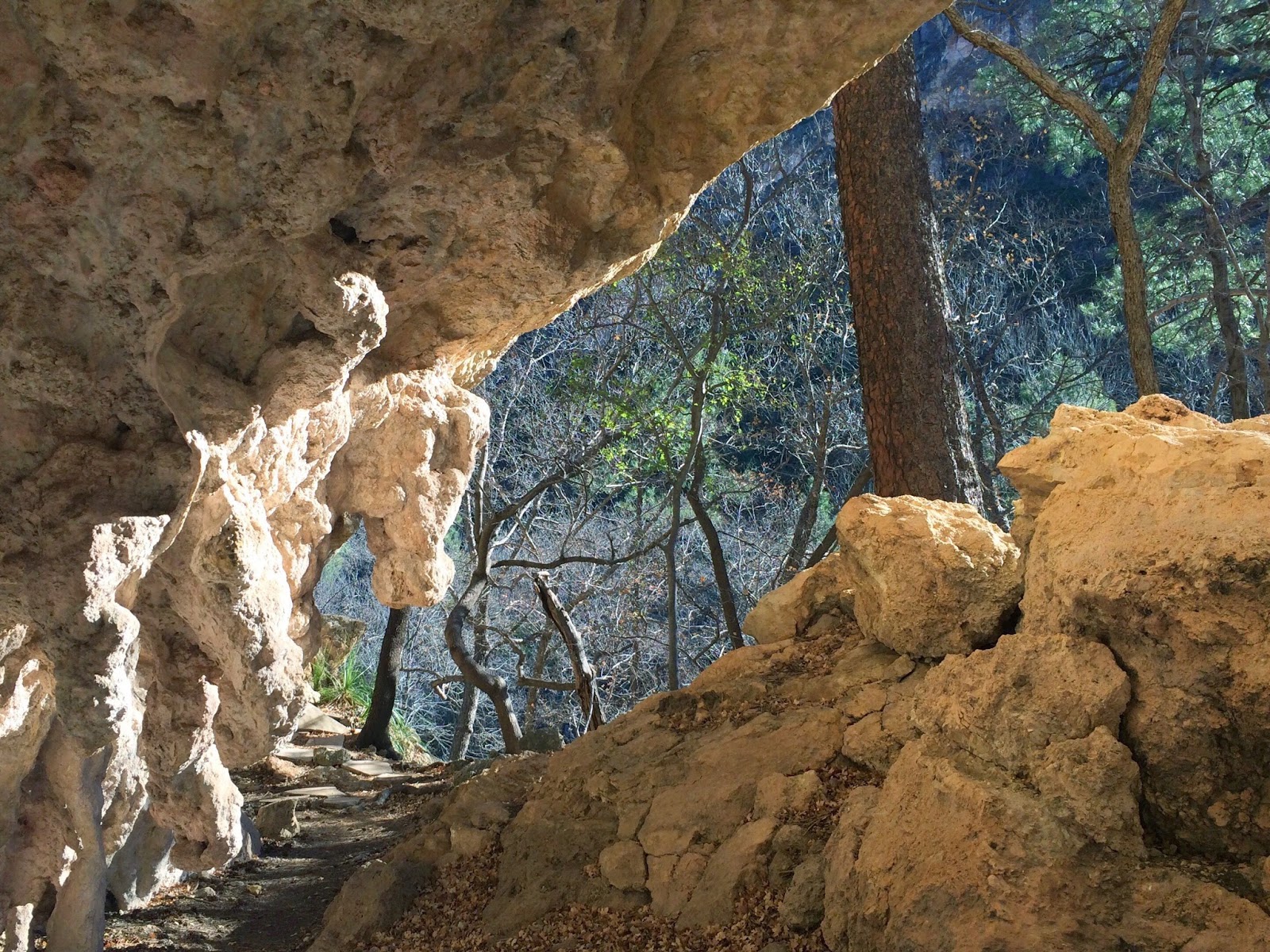 Rambling Hemlock: McKittrick Ridge in the Guadalupe Mountains