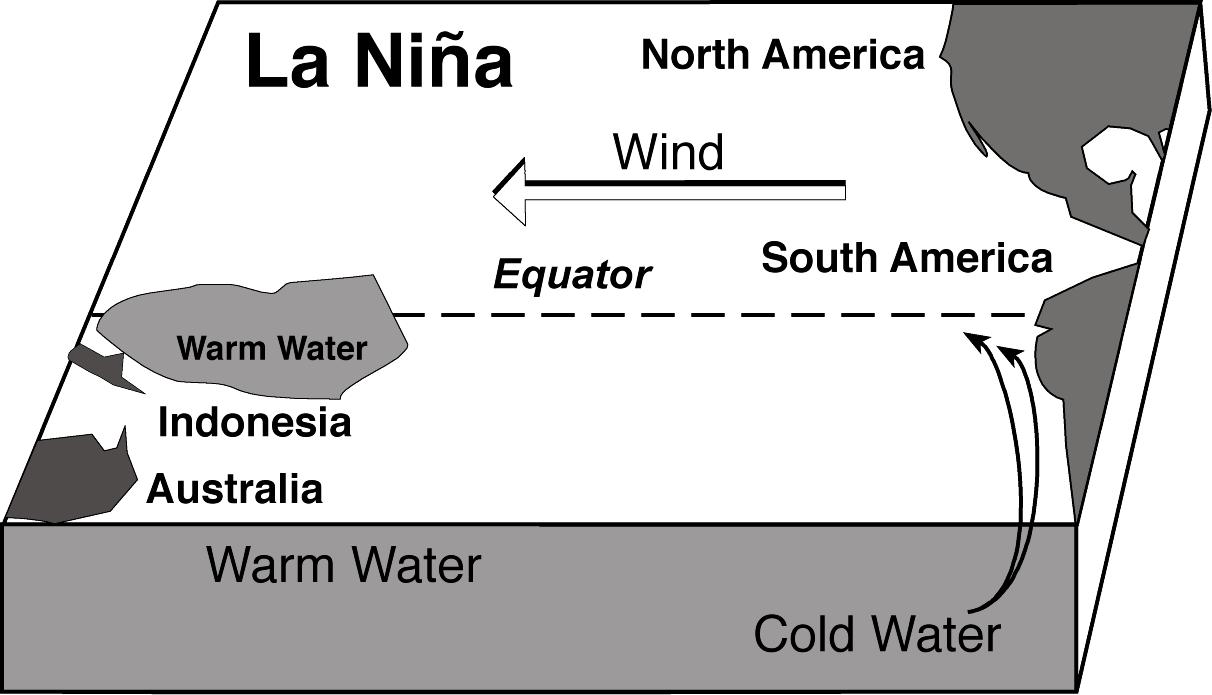 Insights and Reflections