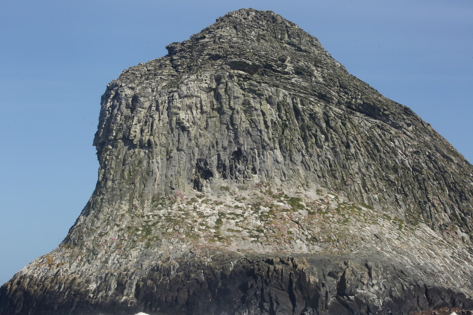 Worldbirder: Birding Down Under: Pyramid Rock & South East Island ...