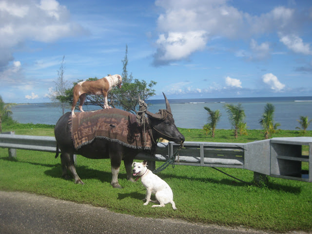 Neko to Meoto: Guam: Buildings and Curiosities (Part 2 of 3)