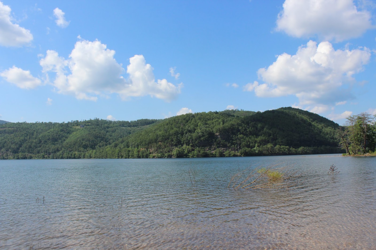 Welcome to the Tralace