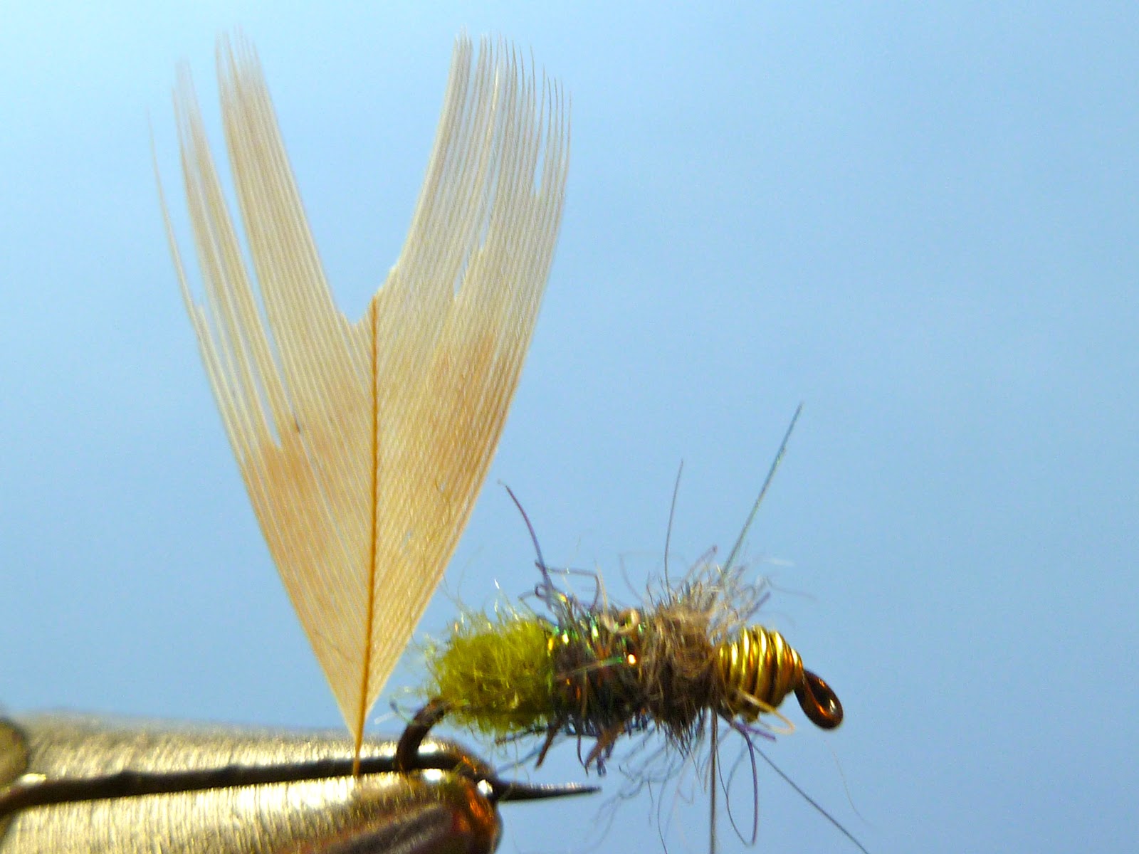 Korn's WH Apple Caddis Emerger SBS