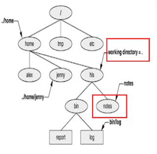 Difference between absolute path and relative path - Linux