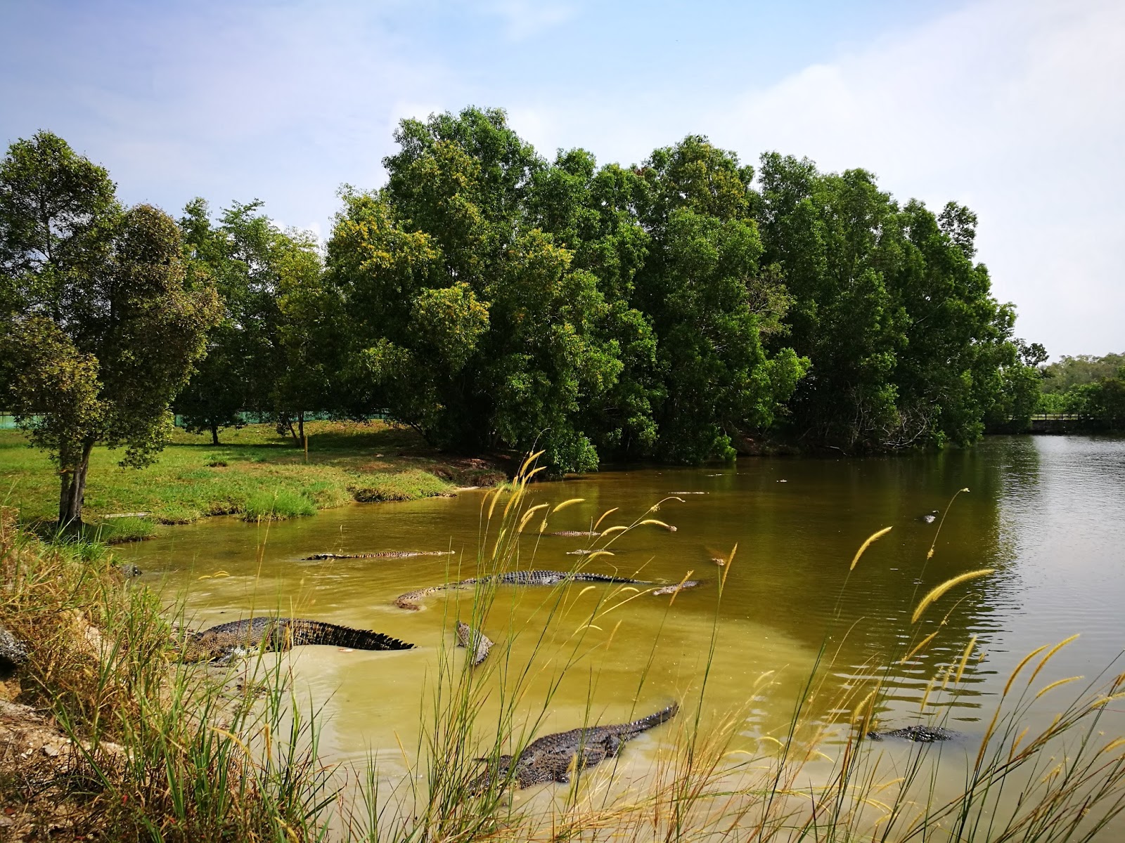 Paya Indah Wetlands Dengkil Kuala Langat