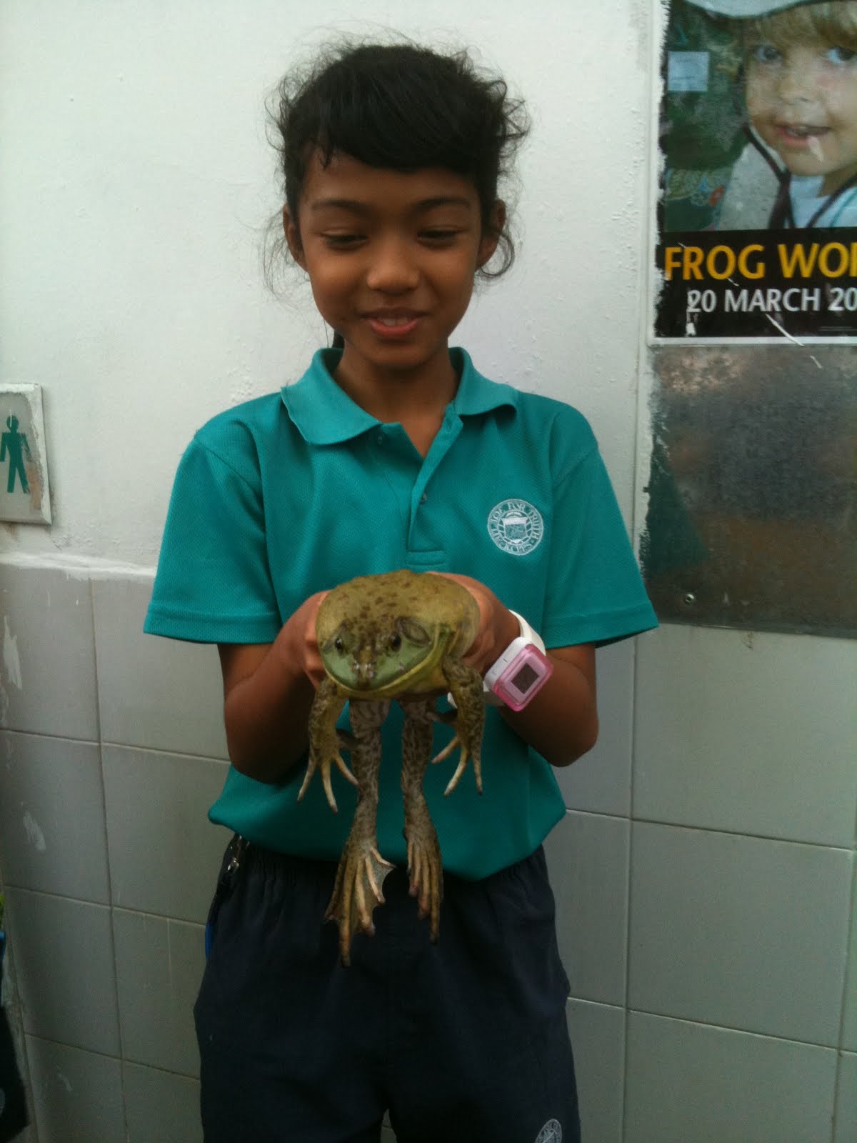 The Courageous: To Bullfrog Farm