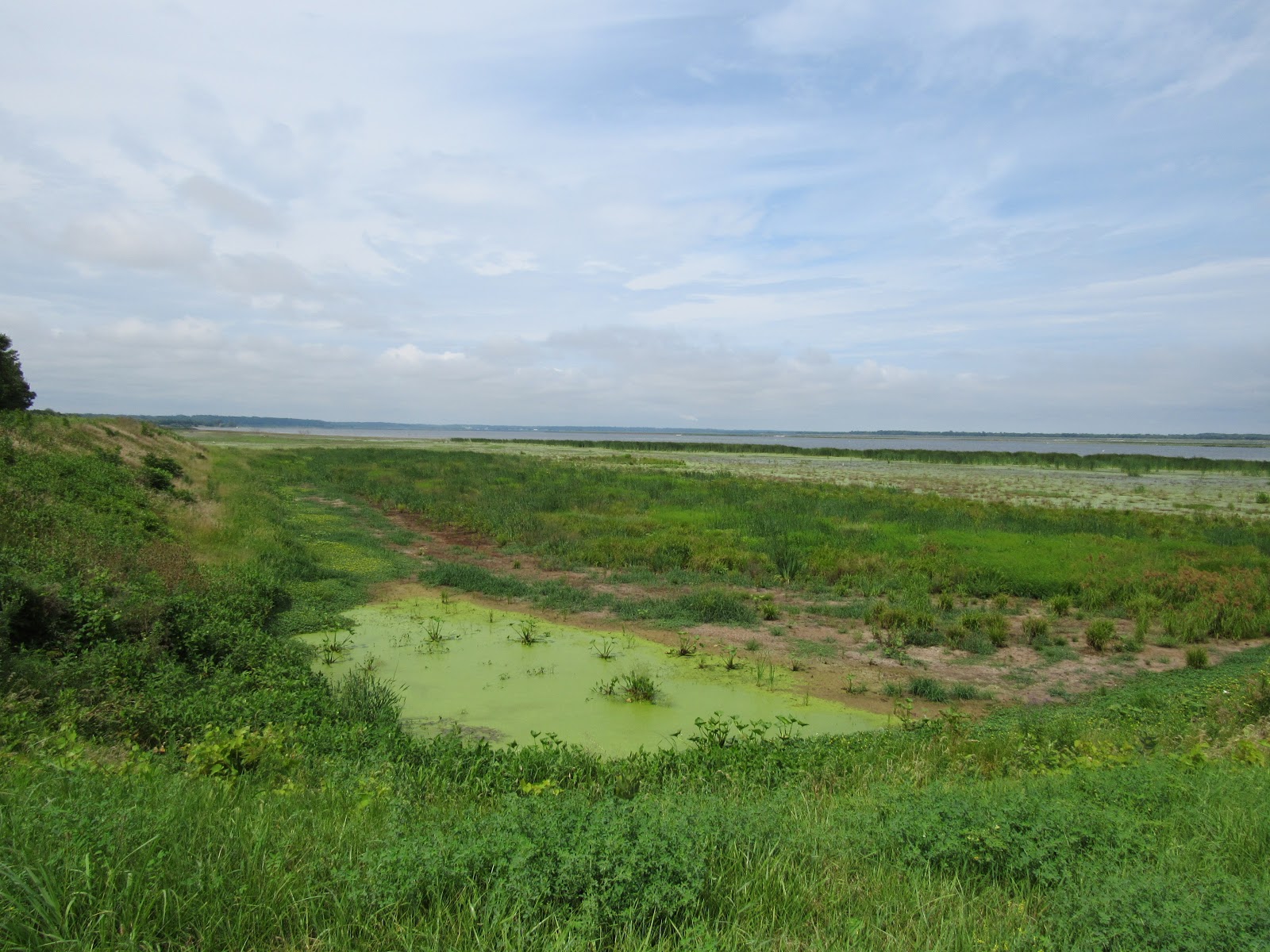 The Wild Land of Lincoln: Dead Carp, Trespassing, and... Goofy Ridge ...