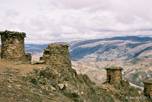 Sydney Meanderings: Taphophile Tragics