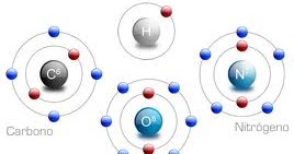 LOS BIOELEMENTOS: DEFINICIÒN