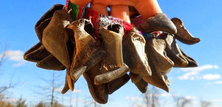 INSTRUMUNDO Instrumentos Musicales: Chajchas