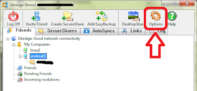 Desarrollo de Sistemas, Informática y Software.: GBridge - La VPN de Google