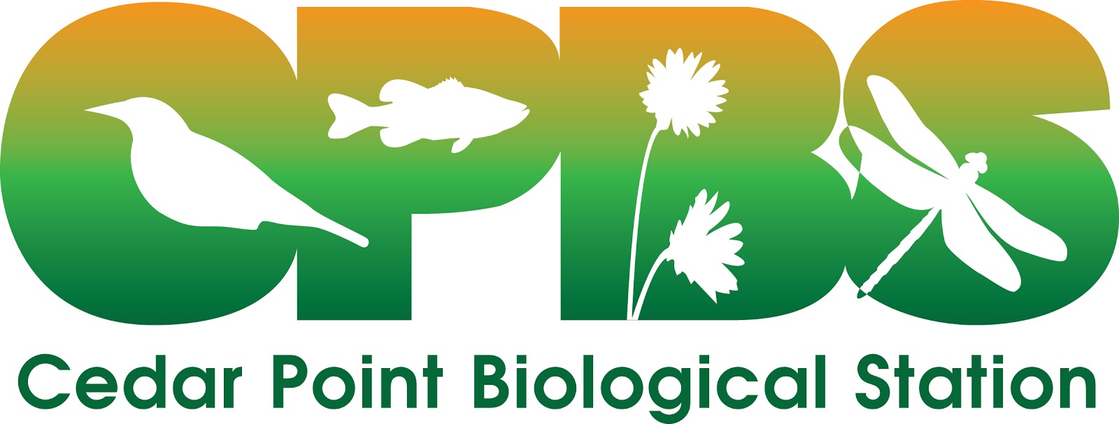 Dirt, Sweat, & Science: Life at a Field Station: Snippets from Second ...