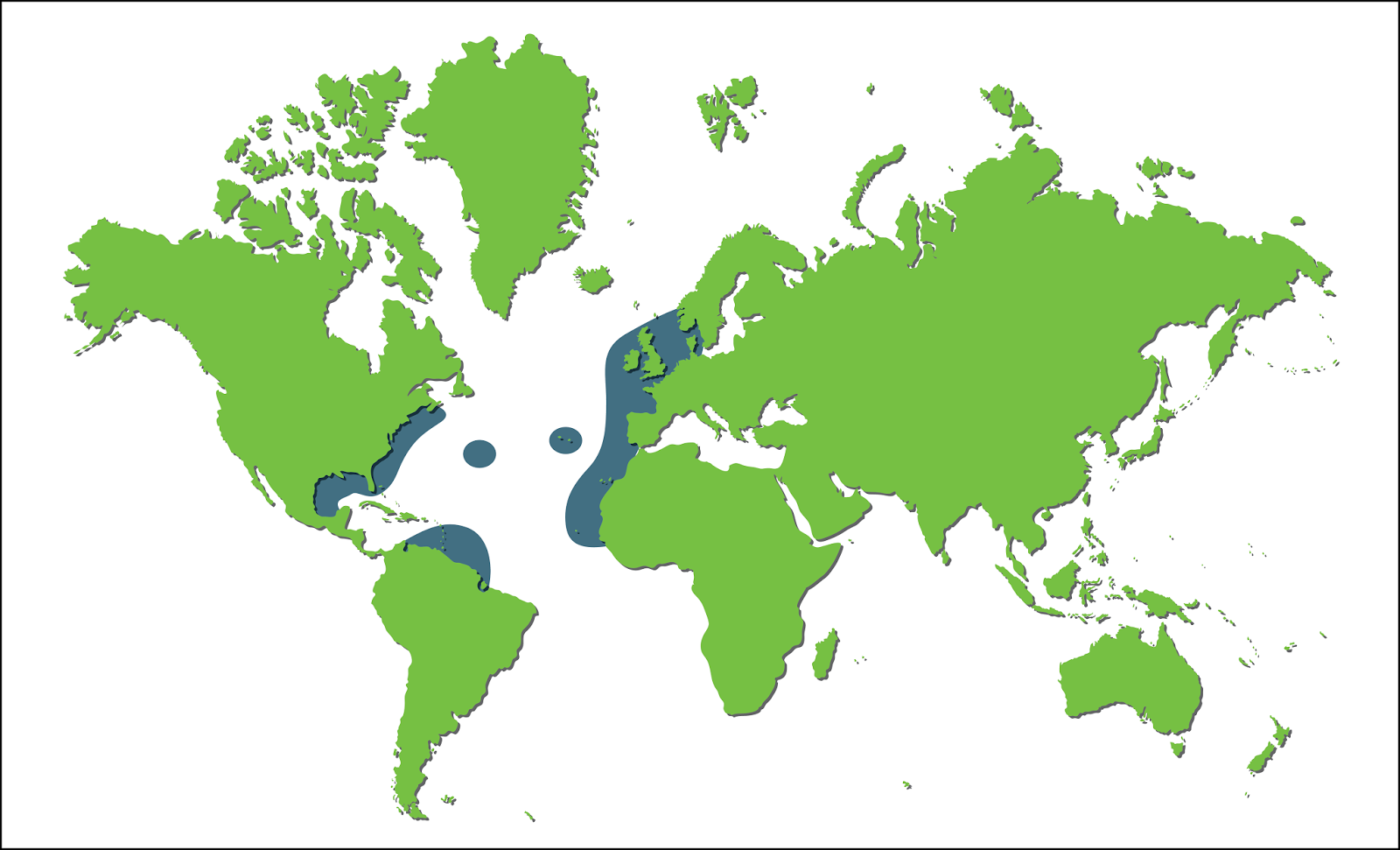 Bio227-10: Kemp's Ridley Sea Turtle- One of the Last Two of its Genus