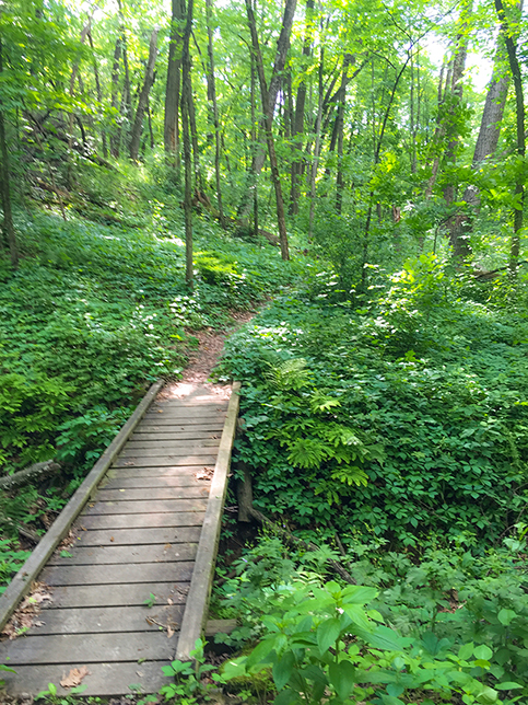 Hiking the Ice Age Trail Cross Plains Segment