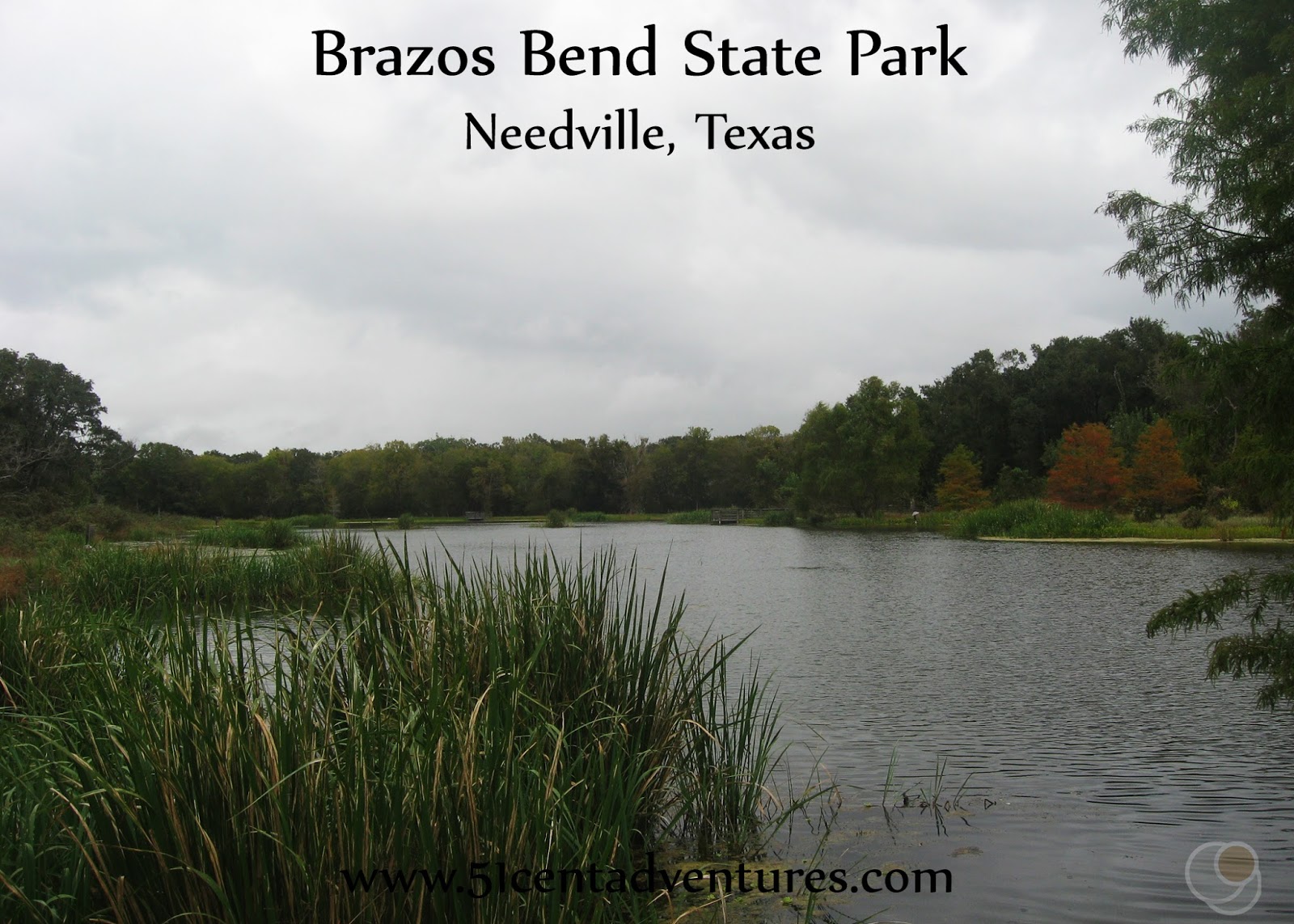 51 Cent Adventures: Brazos Bend State Park - Needville, Texas