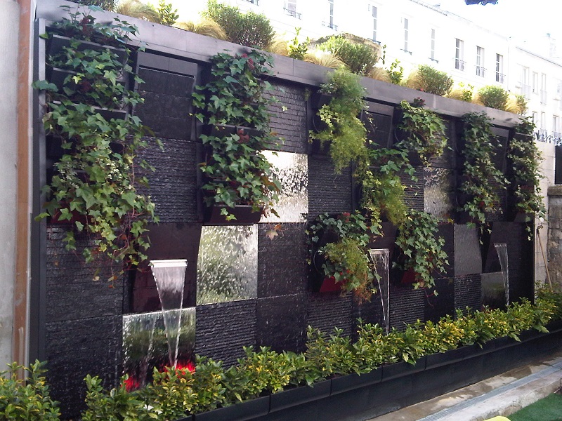 Spesialis taman dinding atau vertical garden di banjarmasin