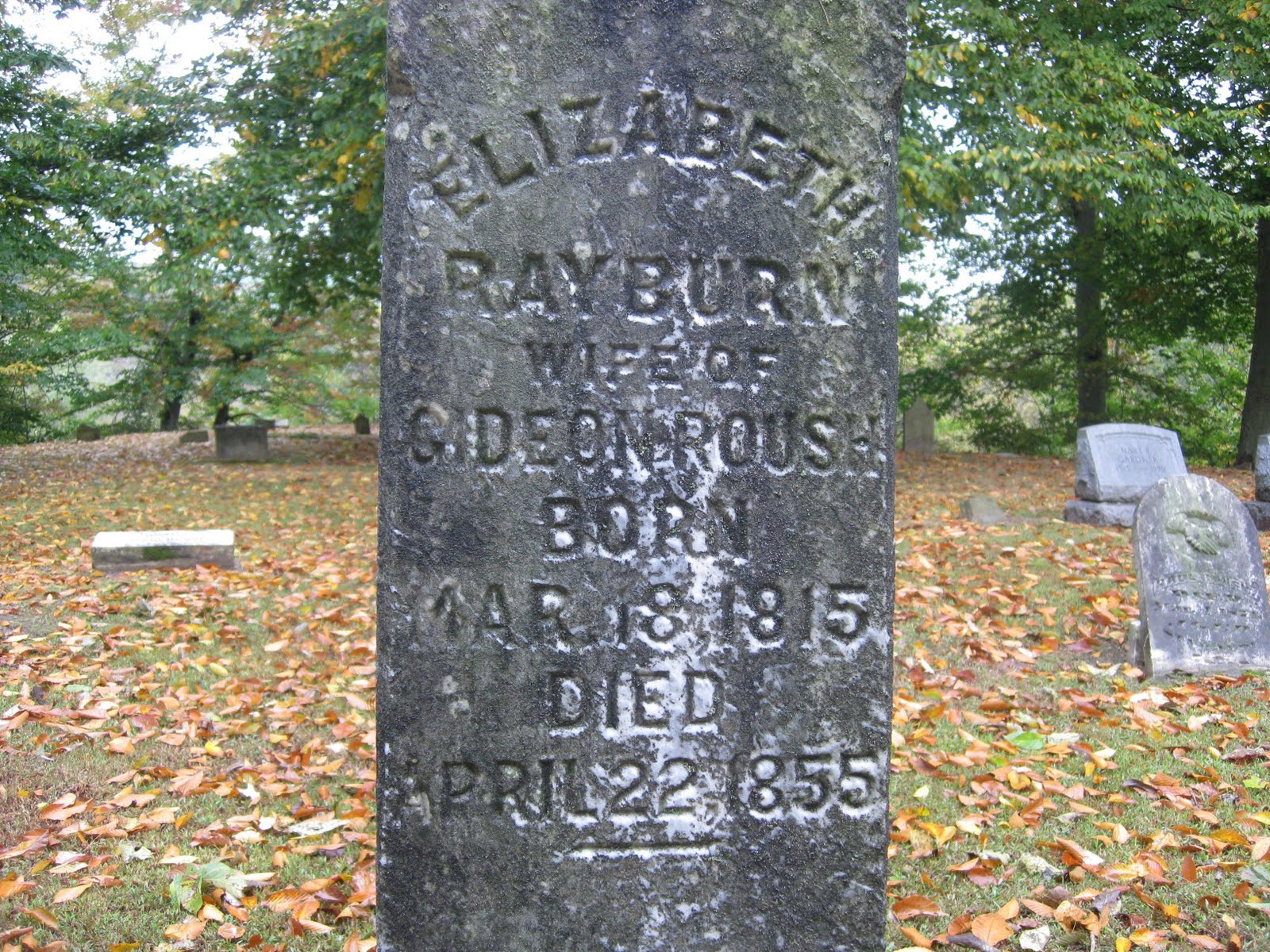 A Sense of Family: August 2011