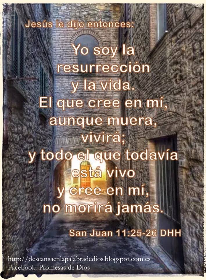 Promesas de Dios: Juan 11:25-26