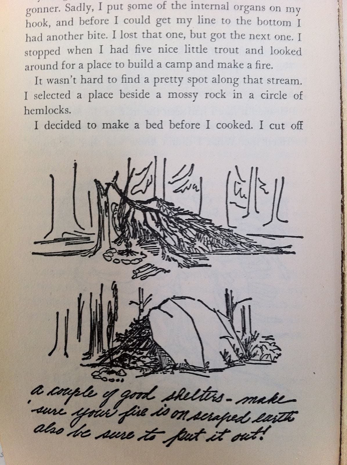 Books Anonymous: My Side of the Mountain - Jean George