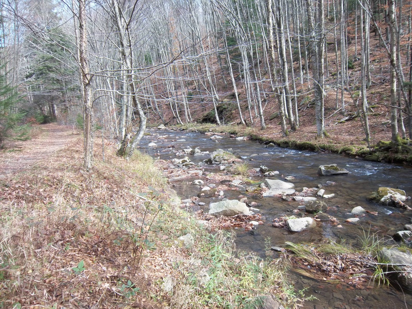 Grobe Anglers And Adventures: Seneca Creek West Virginia