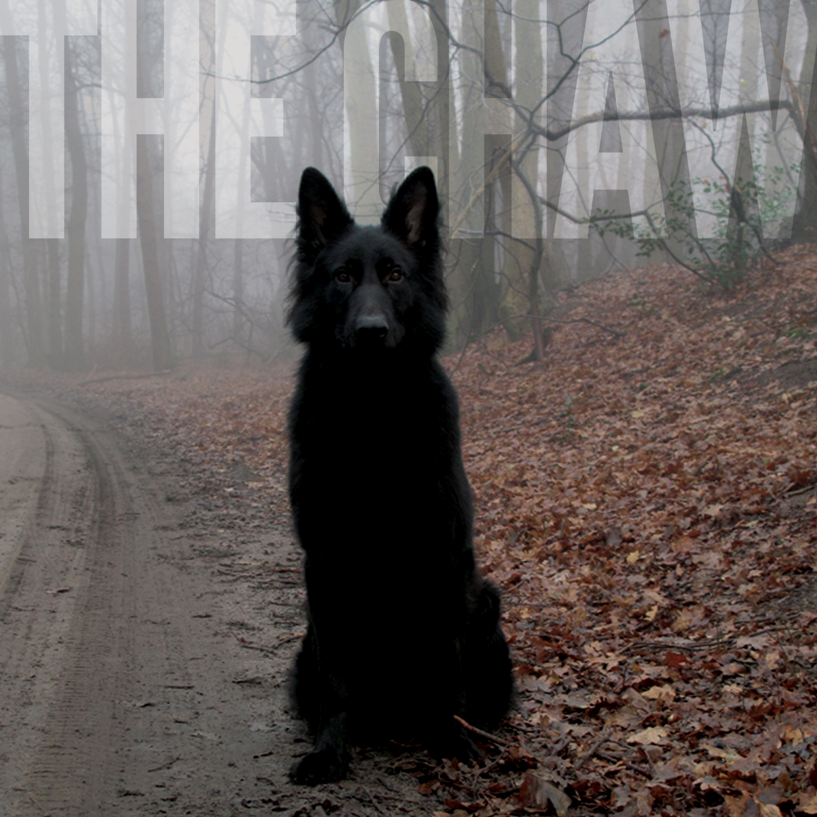 THE ACTIVE LISTENER: The Chaw Review