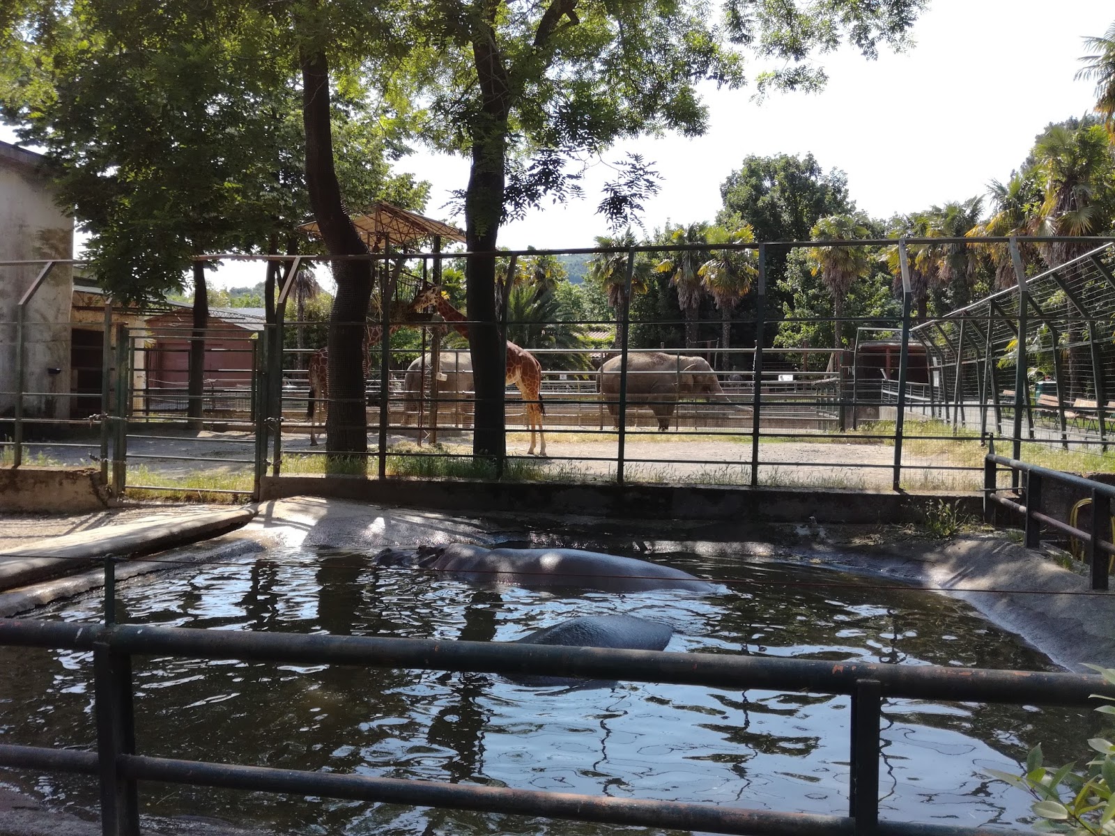 Gioia a Pistoia: Zoo di Pistoia / Giardino Zoologico