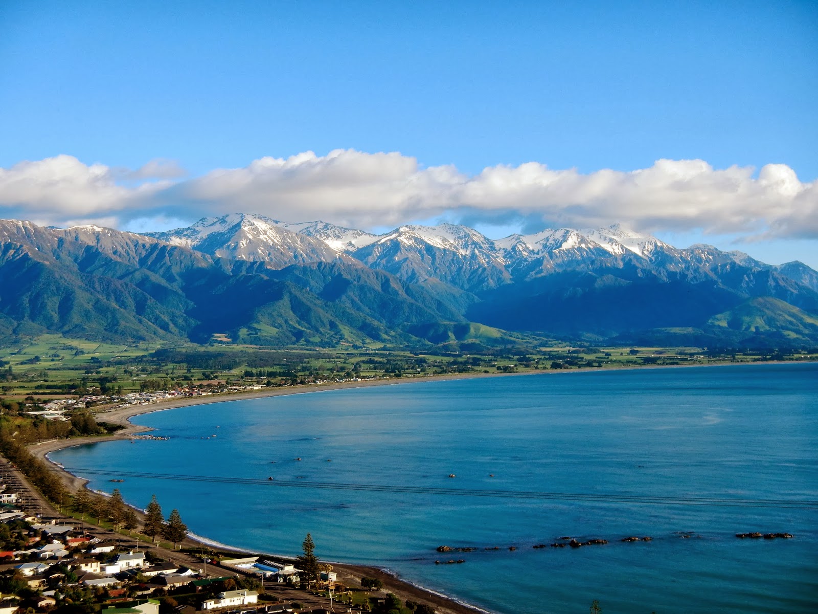 Kiwi Adventure: Swimming with the Dusky Dolphins in Kaikoura, New Zealand