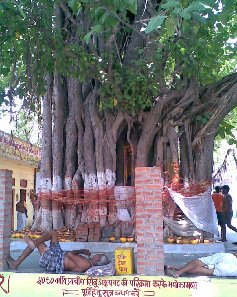 THE BITTER TRUTH: Akshayavat