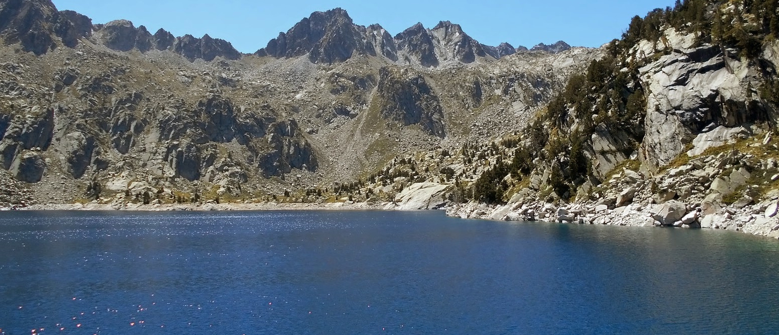 NATURA VIVA: ESTANY NEGRE DE PEGUERA