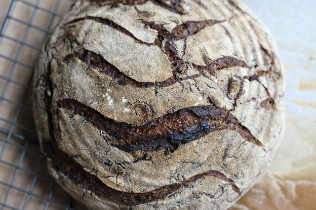 Caramelized Onion Levain Bread - BBB - Ever Open Sauce