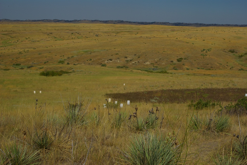 Non Sequitur: Battle of the Greasy Grass ( aka Little Big Horn, Custer ...