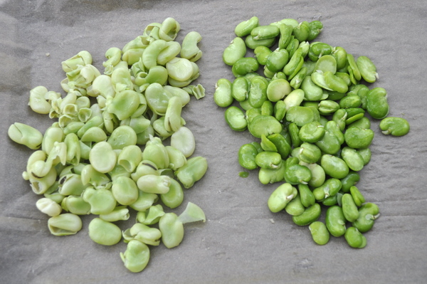 Ciao Chow Linda: Fava Beans