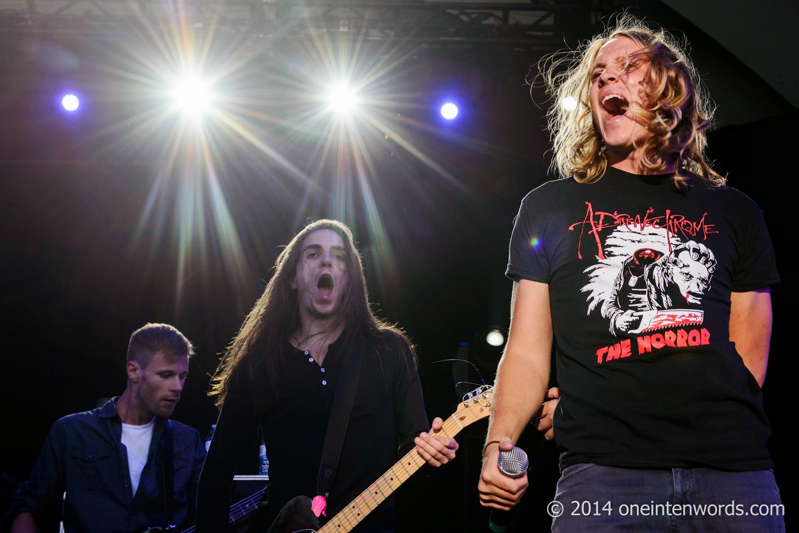 one in ten words: Bleeker Ridge at The Ex