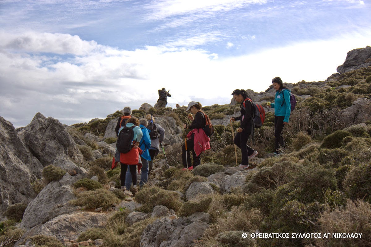 EXPLORE MOUNTAINS: ΜΟΝΟΠΑΤΙ Ε4 ΔΑΦΝΗ-ΠΕΥΚΟΙ ΣΤΗΝ ΣΗΤΕΙΑ